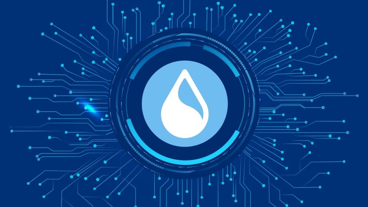 Cetus Protocol’s $223 Million Hack Puts Sui’s Decentralization in the ...